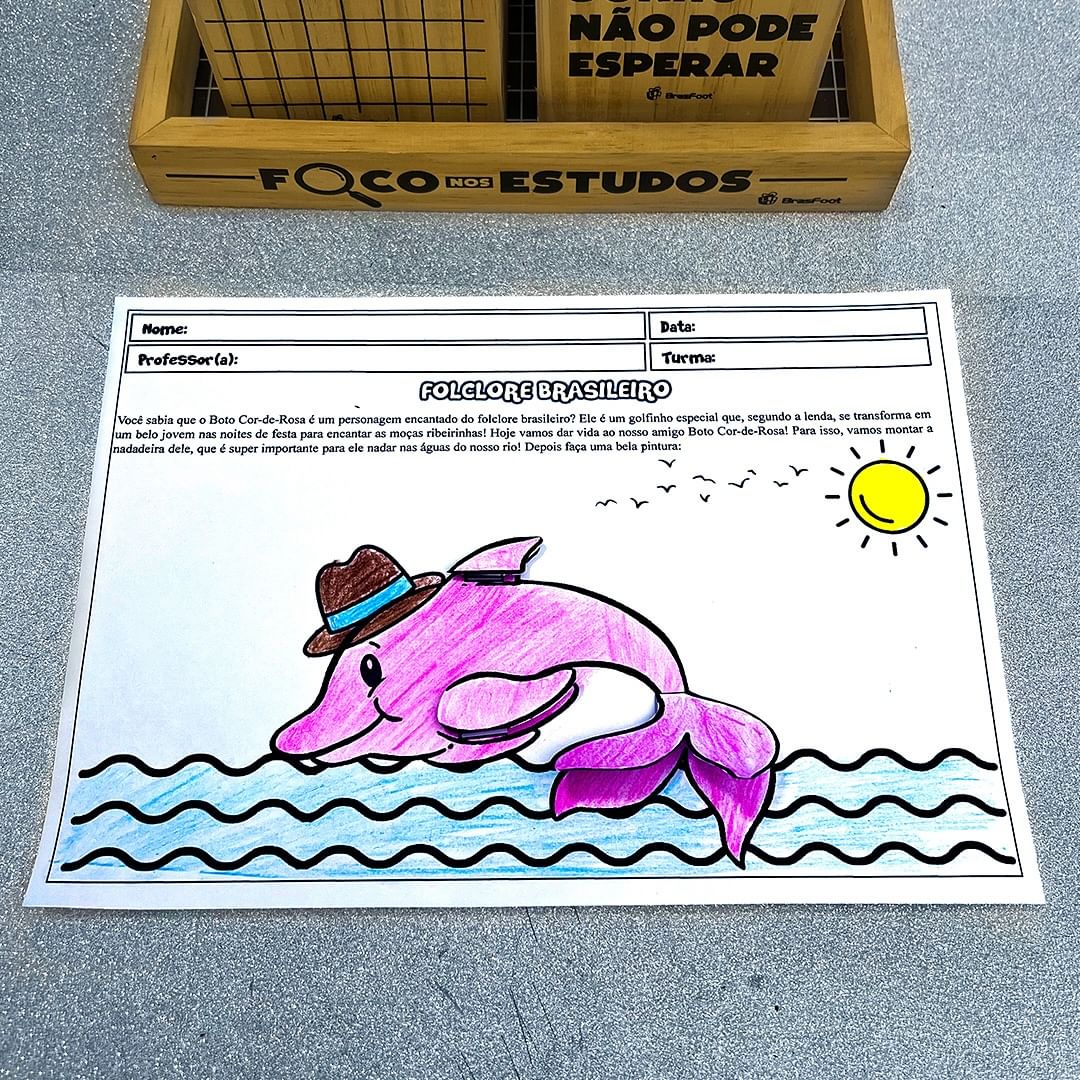Boto Cor de Rosa 🐬 – Pedagogia